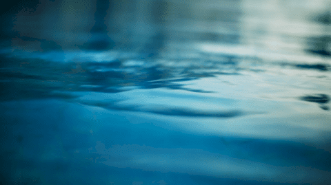 Damage to the ocean nearly doubles economic cost of climate change, new ...